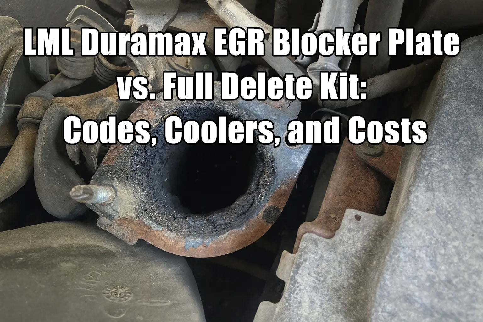 LML Duramax EGR Blocker Plate vs. Full Delete Kit: Codes, Coolers, and ...